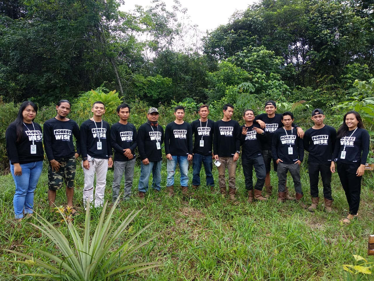 Forestwise - About us